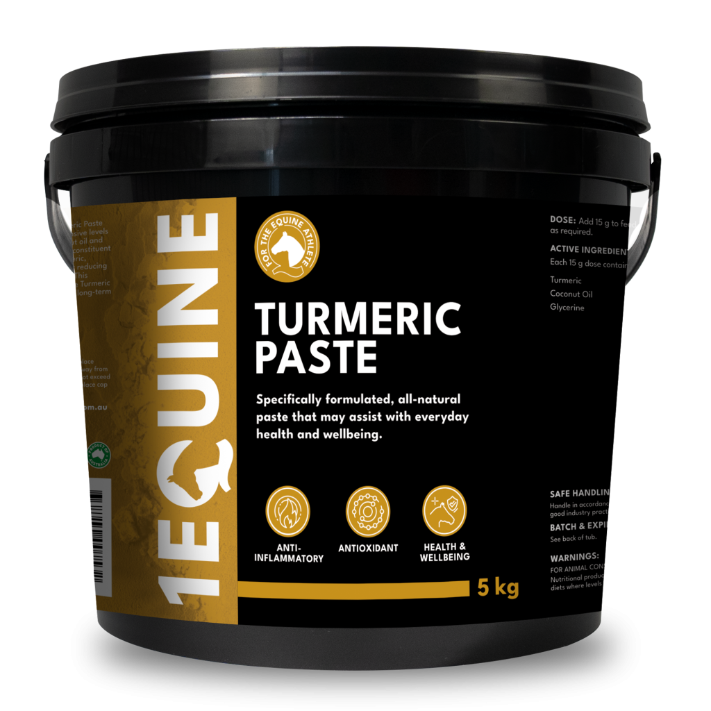 Turmeric Paste - 1Equine